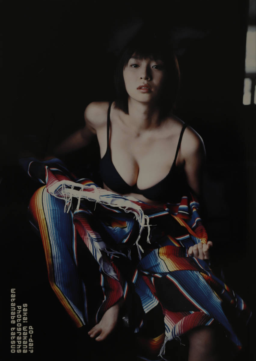 酒井若菜 写真集 「do-dai?」/2000年刊の落札情報詳細 - Yahoo!オークション落札価格検索 オークフリー