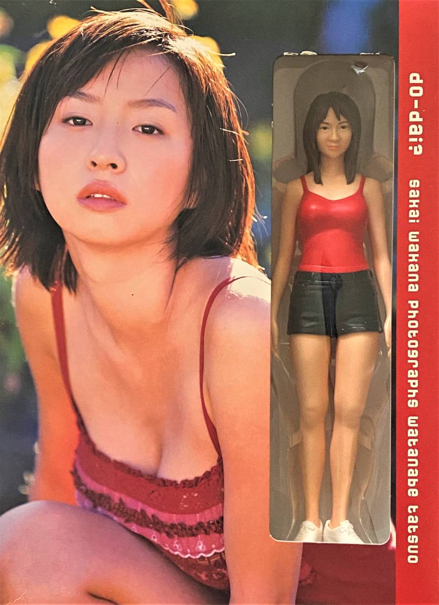 【未使用に近い】酒井若菜 フィギュア付き写真集 do-dai!?の落札情報詳細 - Yahoo!オークション落札価格検索 オークフリー