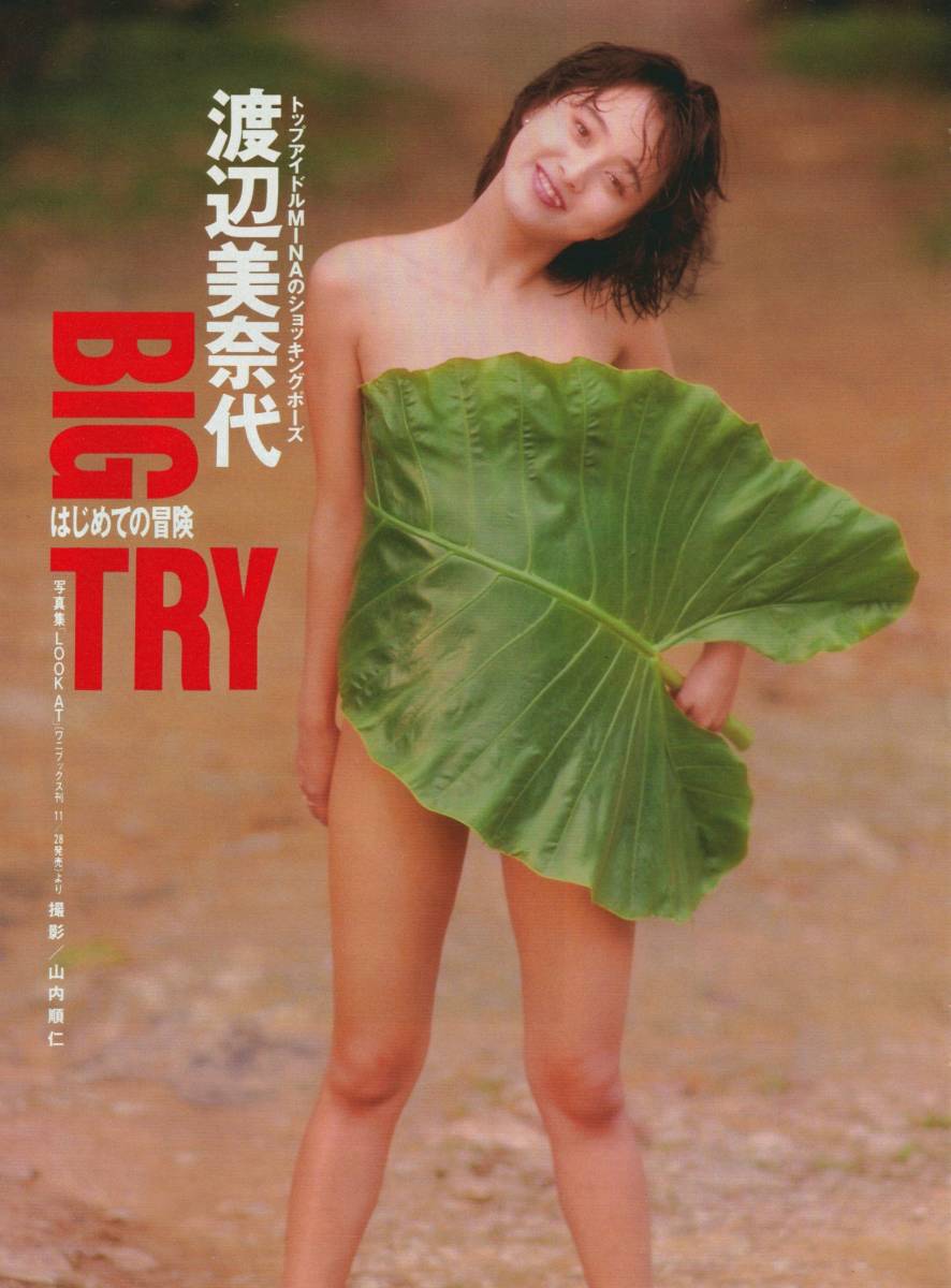 【傷や汚れあり】渡辺美奈代 19歳 セクシー 7p★GORO1988(昭和63)年12月8日号★雑誌切り抜き★c173の落札情報詳細 - Yahoo!オークション落札価格検索 オークフリー