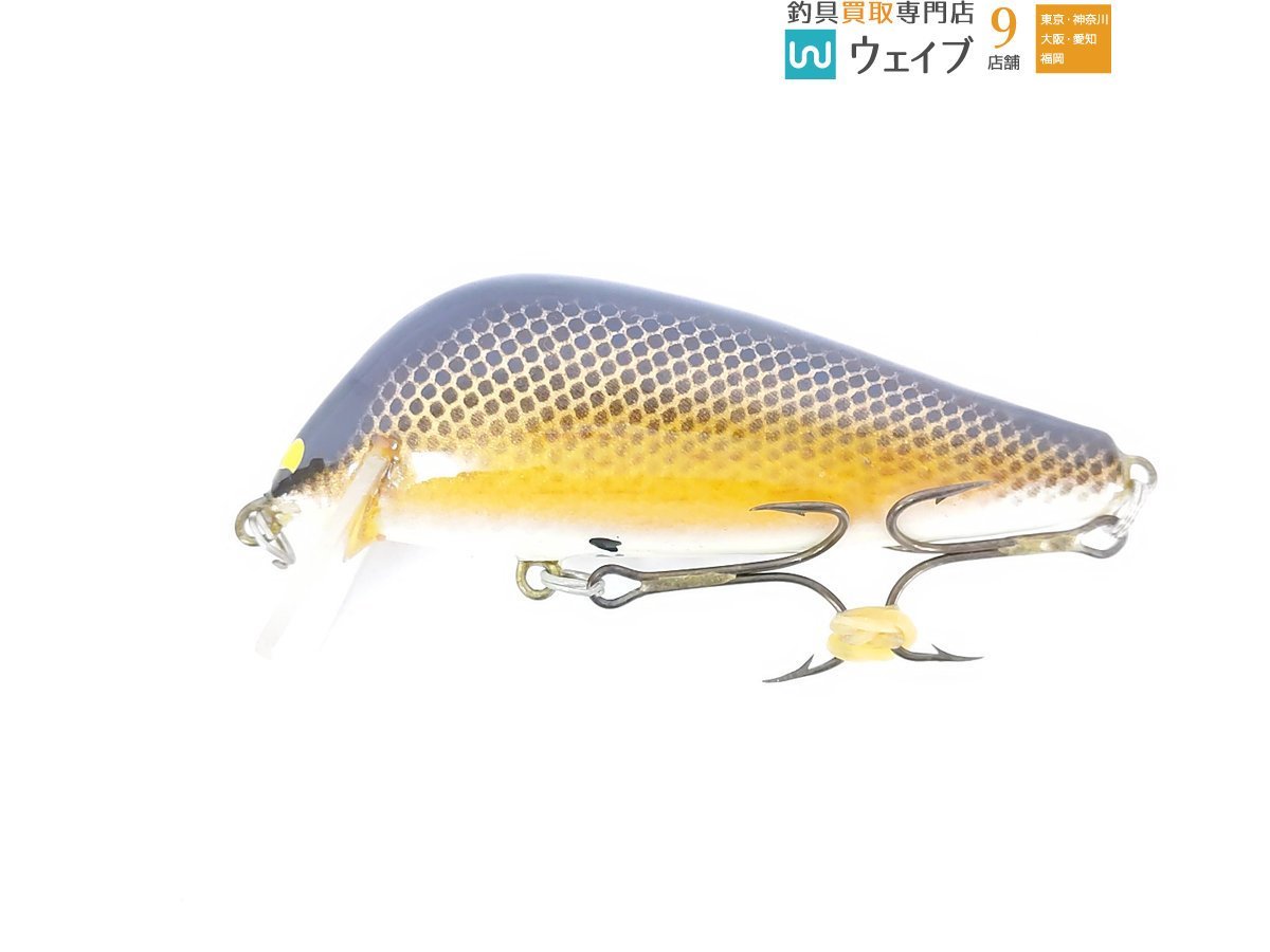 【目立った傷や汚れなし】麗’s ミノー レイズミノー 45～48mm S Reis Lure Craft ハンドメイドルアー バルサ 中古 1 ...