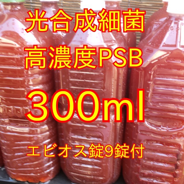 【未使用】簡単培養ゾウリムシ300mlペットボトルで爆殖中＋自家培養光合成細菌PSB300ml★#生クロレラも出品中！の落札情報詳細 - ヤフオク落札価格検索 オークフリー