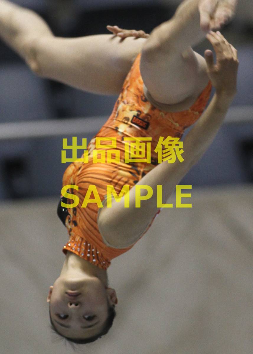 【未使用に近い】S.Nakaji 2L 写真 1枚の落札情報詳細 - ヤフオク落札価格検索 オークフリー