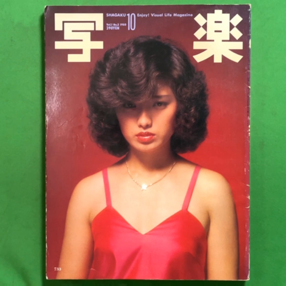 【やや傷や汚れあり】写楽 SHAGAKU 小学館 1980年 昭和55年10月1日発行 篠山紀信 鈴木善吉 坂田栄一郎 キャティ 坂本龍一 和田誠の落札情報詳細 - Yahoo!オークション ...