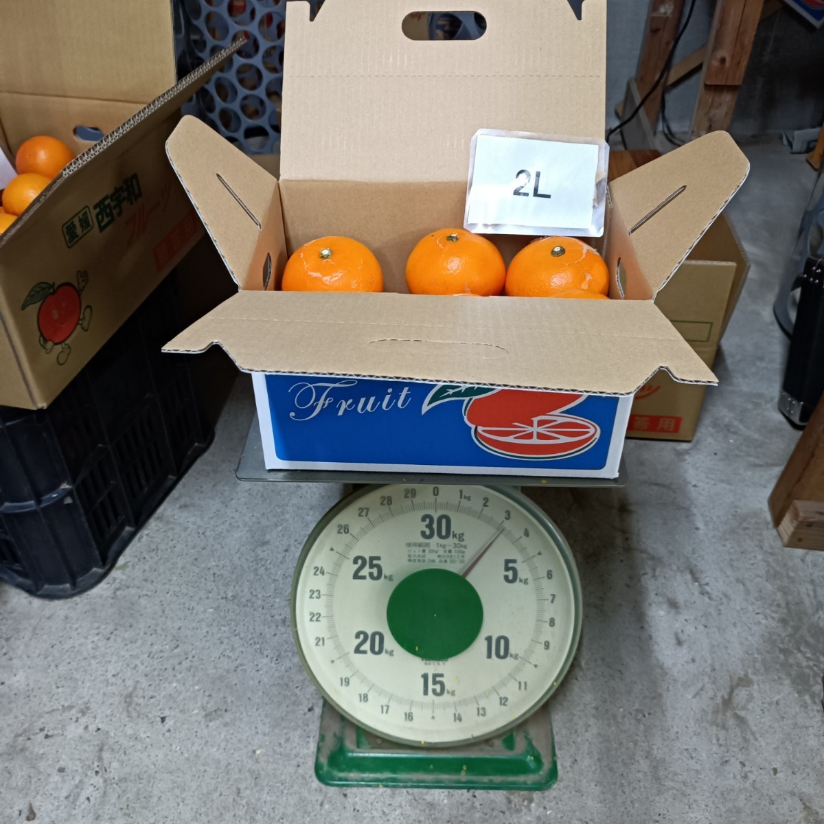 【傷や汚れあり】愛媛西宇和産 せとか 2Lサイズ 3kgの落札情報詳細 - ヤフオク落札価格検索 オークフリー