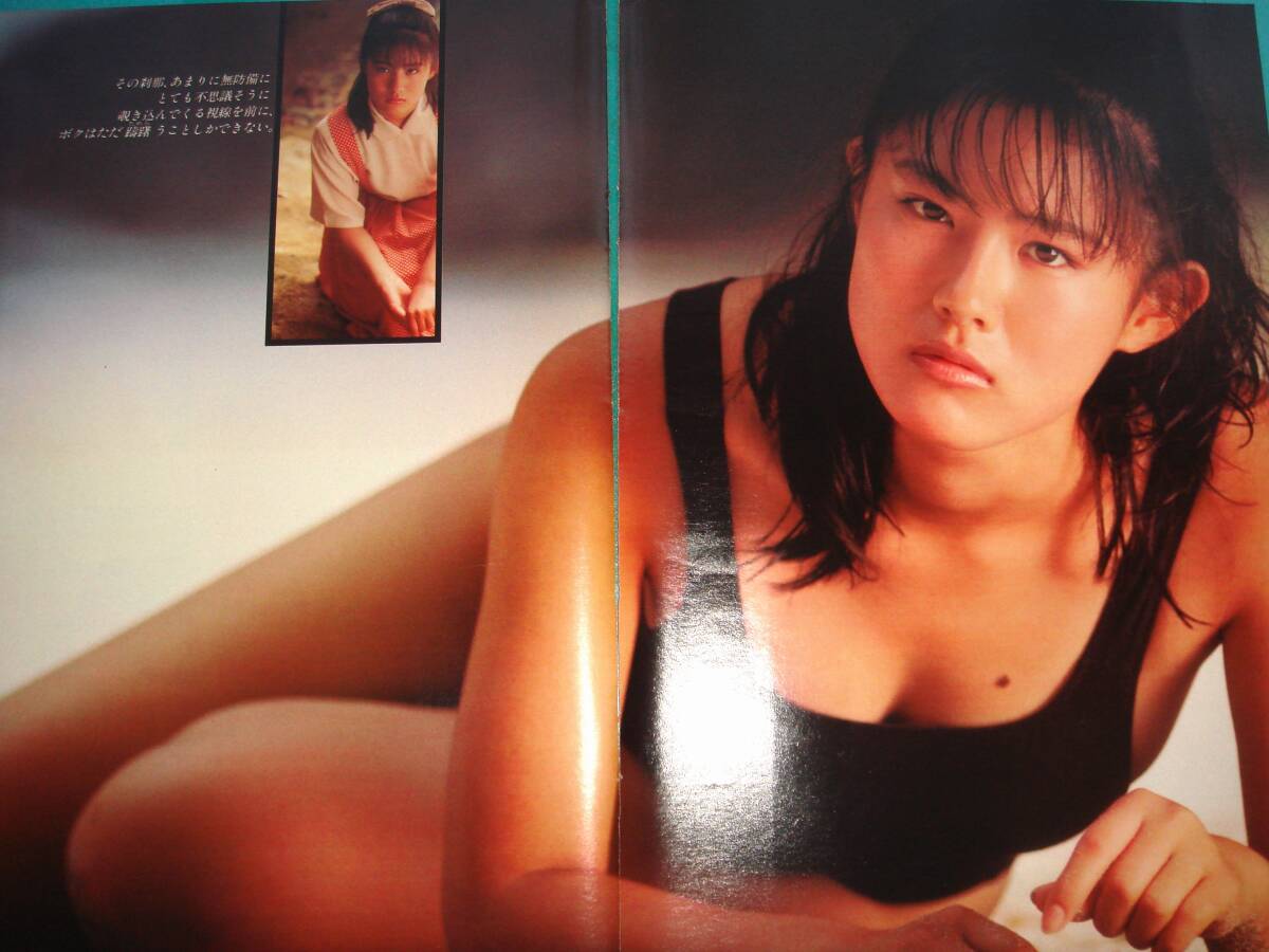 【やや傷や汚れあり】★貴重26P★中江有里初期★当時物切り抜き★No.14,791★松本人志井上晴美宍戸留美小田茜Wink千堂あきほ高岡早紀★の落札情報詳細 - Yahoo!オークション落札 ...