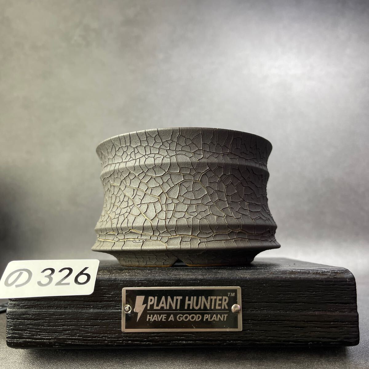 【未使用】の326 Mサイズ 植木鉢 陶器 検（塊根植物 アガベ パキプス invisible ink raw life factory SRL 信楽焼 伝市鉢カタチ製作所 グラキリス)の落札 ...