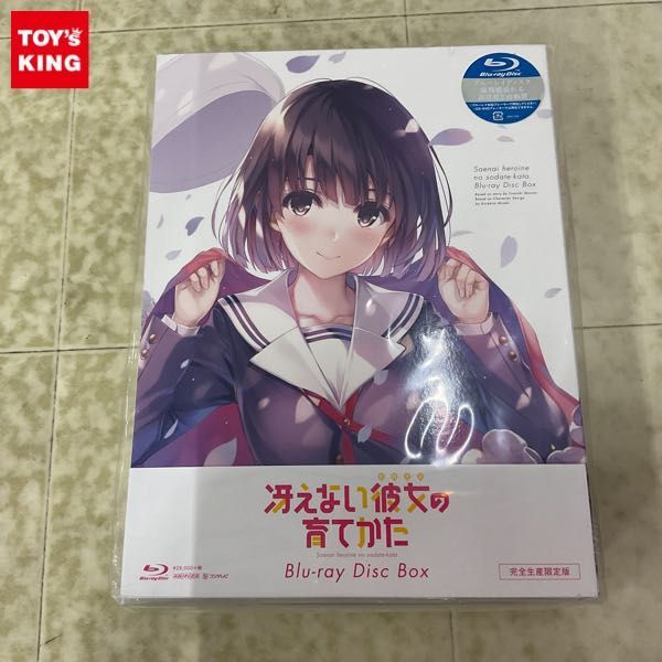 【やや傷や汚れあり】【同梱可】中古品 アニメ 冴えない彼女の育てかた Blu-ray Disc BOXの落札情報詳細 - Yahoo!オークション落札価格検索 オークフリー