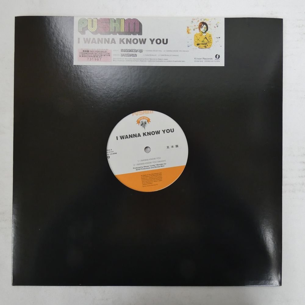 【やや傷や汚れあり】48042199;【未開封/国内盤/プロモ/12inch】Pushim / I Wanna Know Youの落札情報詳細 - Yahoo!オークション落札価格検索 オークフリー