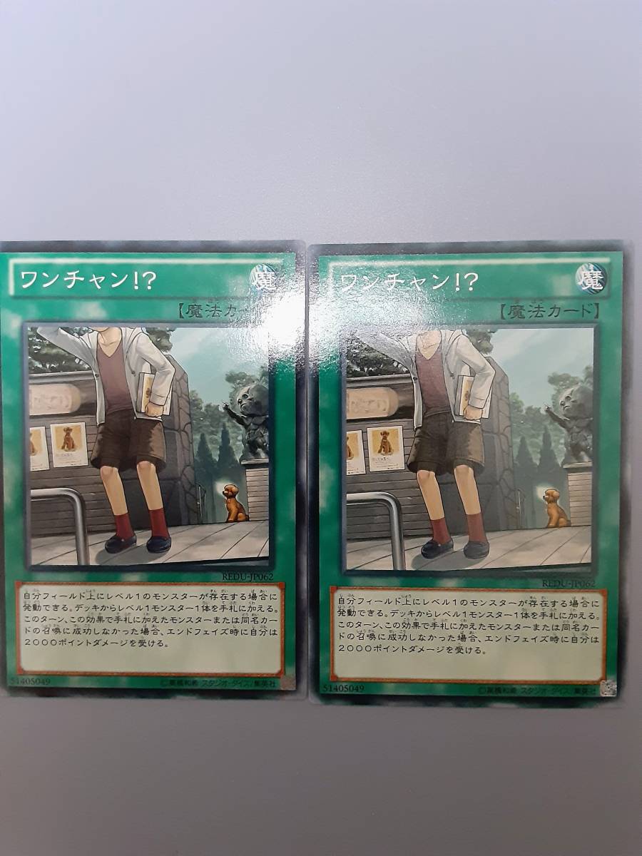 【目立った傷や汚れなし】遊戯王 ワンチャン!? REDU-JP062 レベル1 魔法 手札に加える ノーマル2枚セット ミニレター70円まとめ買い歓迎①の落札情報詳細 - ヤフオク落札価格検索 ...