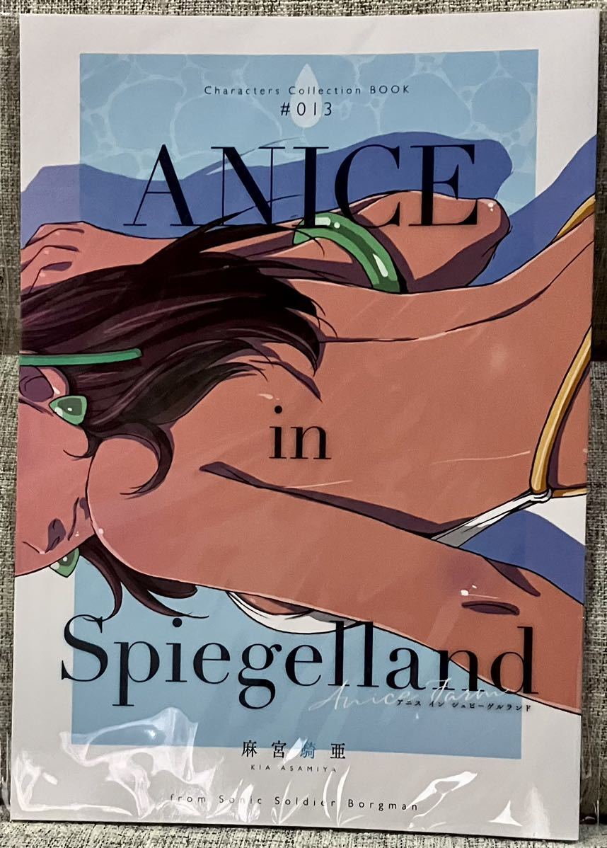 【未使用】★ ANICE IN SPIEGEL LAND アニス・ファーム2★麻宮騎亜保存会21★超音戦士ボーグマン イラスト本 キャラブック 同人誌 菊池道隆 の落札情報詳細| ヤフオク落札 ...