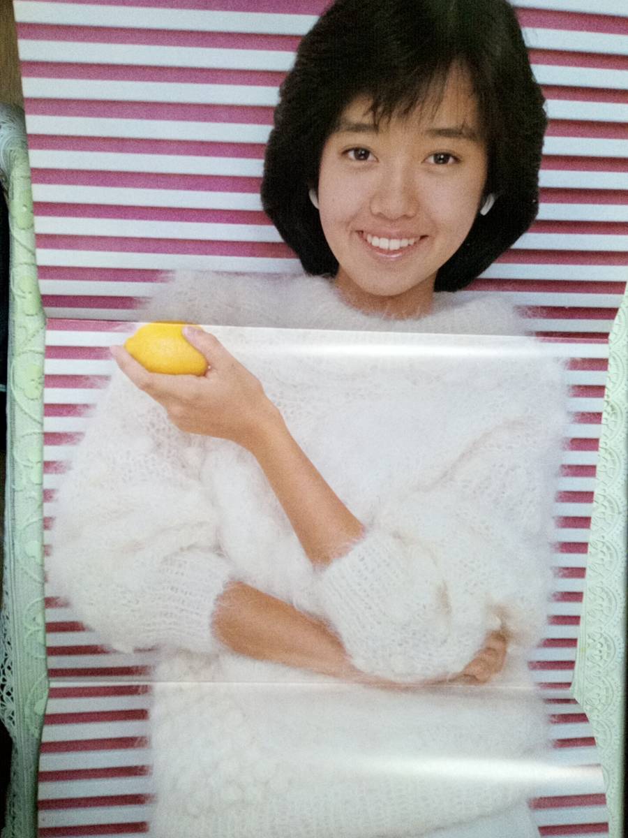 【全体的に状態が悪い】スコラ 1982年11月11日号 No14「歪み有り」早見優ピンナップ）麻生よう子10p多岐川裕美10pあみん3p秋葉てる美8pスタンハンセン7p沢田純1p の落札 