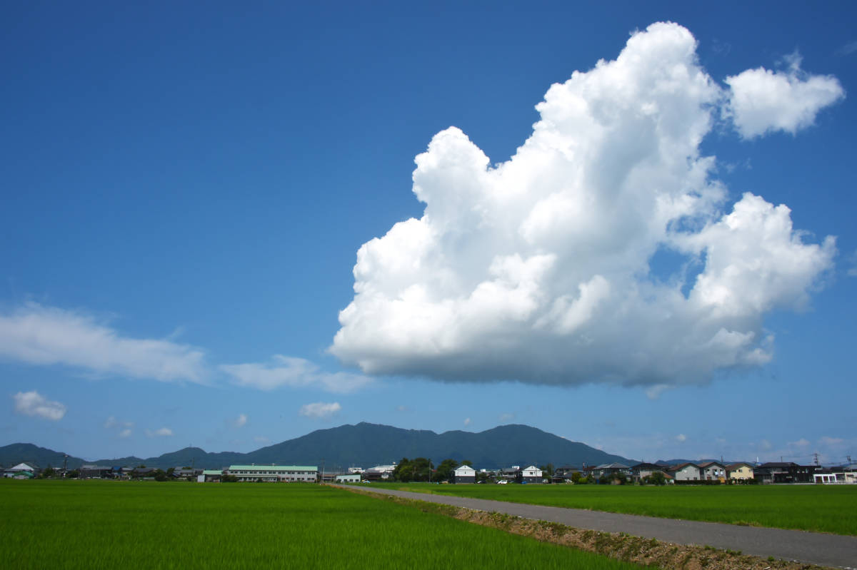 【未使用】アイドル!! 誌宝(まほ)シリーズ20set..三花愛良6set.山中真由美13set.山中知恵17set.山田りかこ21setの落札情報詳細 - Yahoo!オークション落札価格 ...