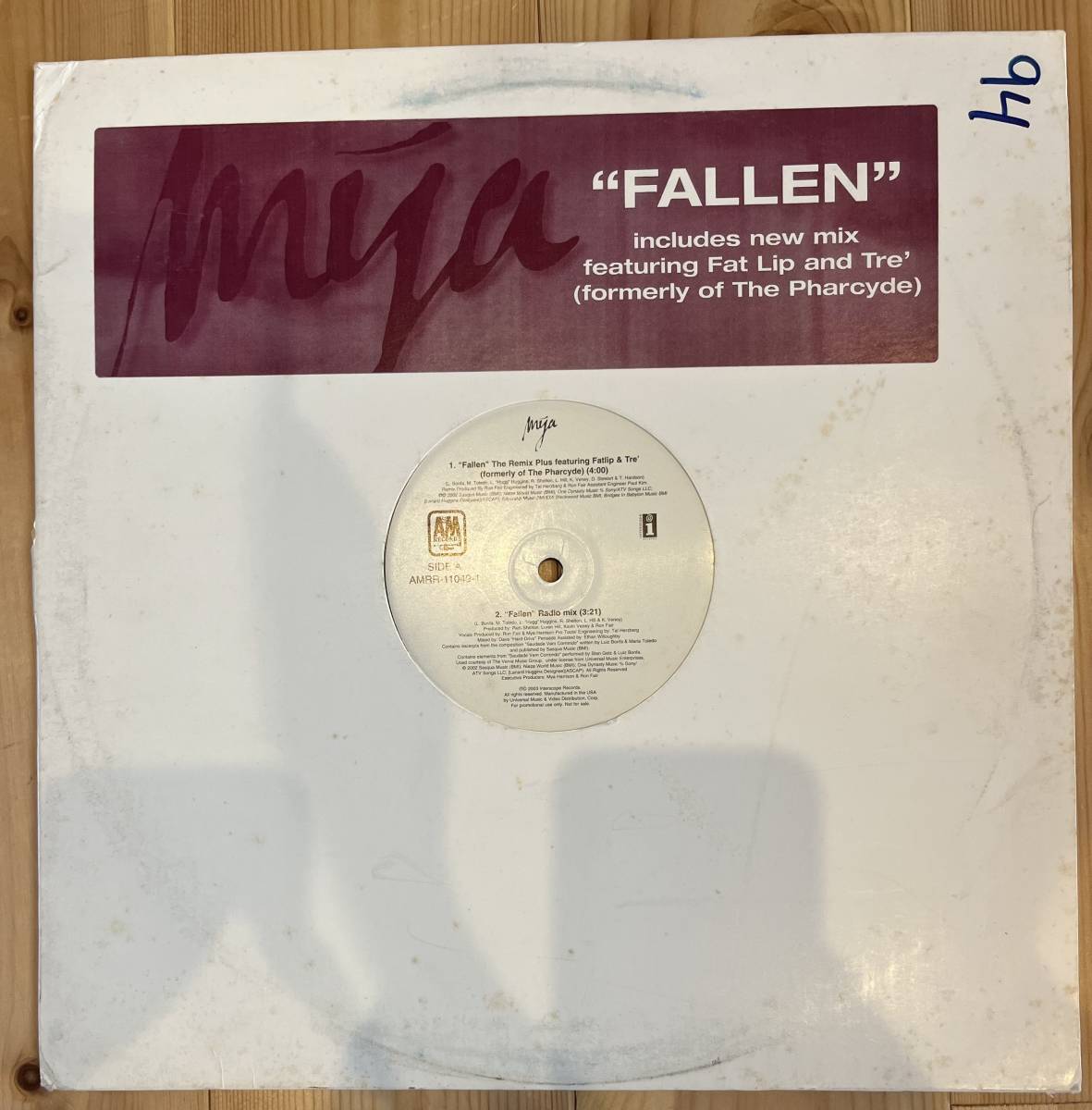 【目立った傷や汚れなし】MYA / FALLEN REMIX featuring FAT LIP & TRE' pharcyde runnin ...