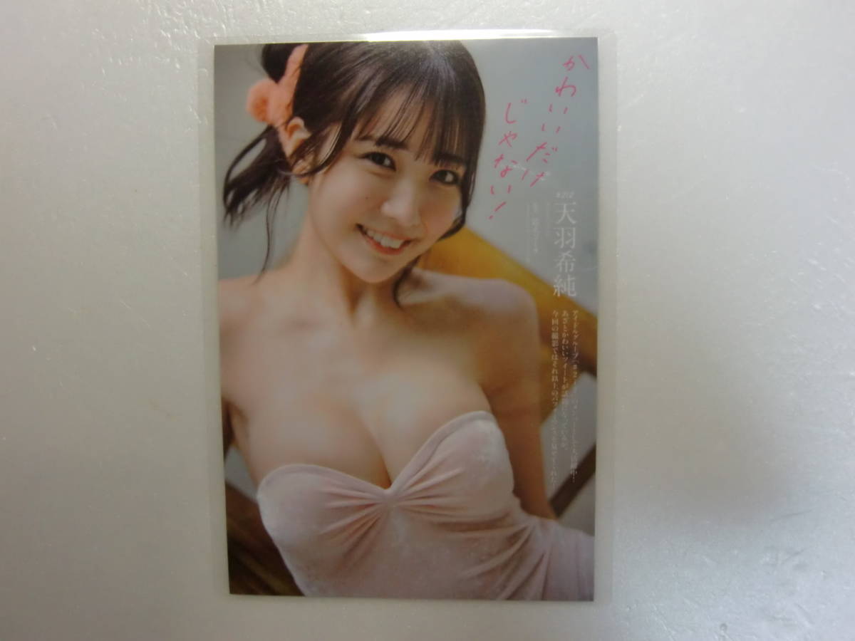【目立った傷や汚れなし】天羽希純.♯2i2.8ページ.4枚.プレイボーイ.2023年.15号.No.15.切り抜き.ラミネート.ラミネート加工.水着.ビキニ.グラビア.数量1の落札情報詳細 ...