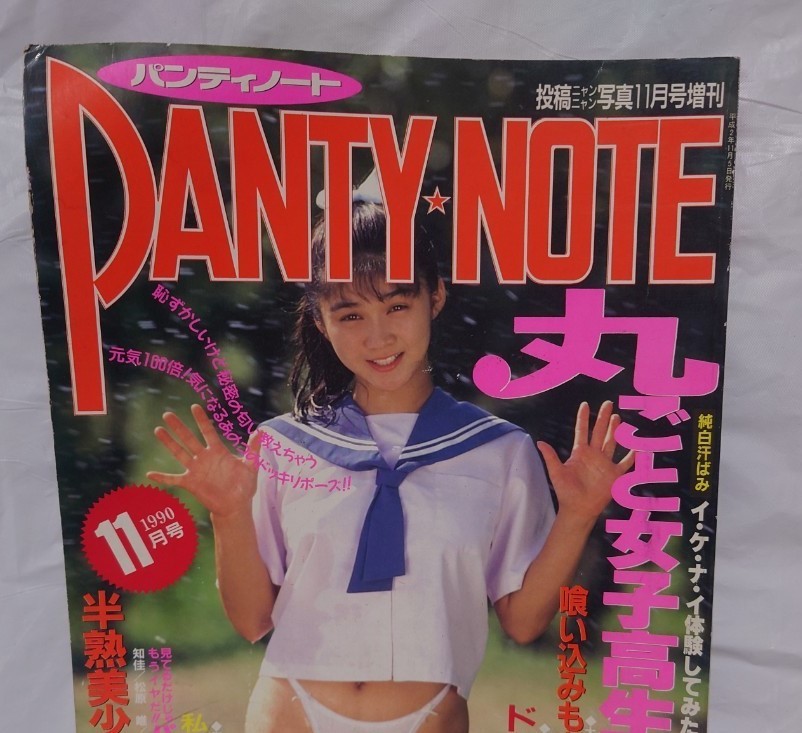 【傷や汚れあり】パンティノート PANTY NOTE 投稿ニャンニャン写真11月号増刊 1990年 サン出版の落札情報詳細 - ヤフオク落札価格検索 オークフリー