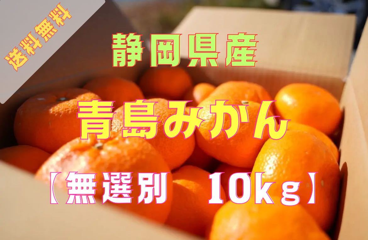 【やや傷や汚れあり】【蔵出し青島みかん】無選別(S〜2L)・10kg箱満杯詰め【※規格外品】送料無料②の落札情報詳細 - ヤフオク落札価格検索 オークフリー