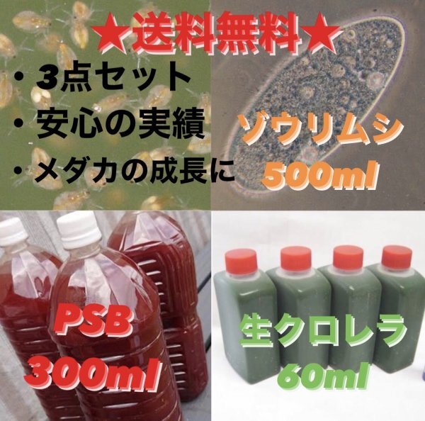 【未使用】人気度No.1★送料無料★ 安心3点セット ゾウリムシ500ml PSB300ml 生クロレラ60ml 針子稚魚めだかメダカグッピーの落札情報詳細 - Yahoo!オークション落札 ...