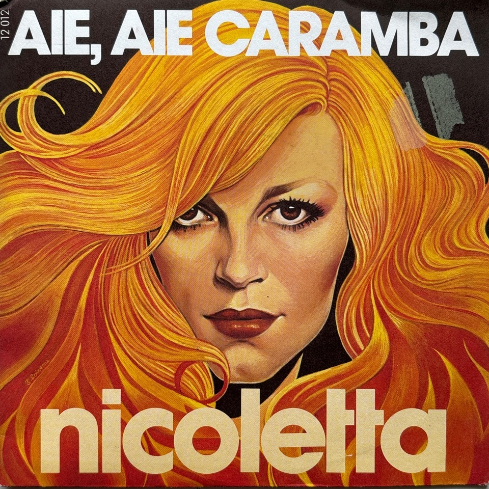 nicoletta moretti ニコレッタ モレッティ ナイロン ショルダーバッグ 黒 収納多 ※定形外510円発送可の落札情報詳細 ...