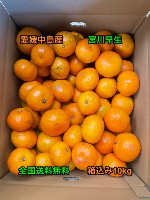 【傷や汚れあり】46 全国送料無料 宮川早生みかん 箱込み10kg S〜2Lサイズ混合 愛媛中島産 の落札情報詳細 - Yahoo!オークション落札価格検索 オークフリー