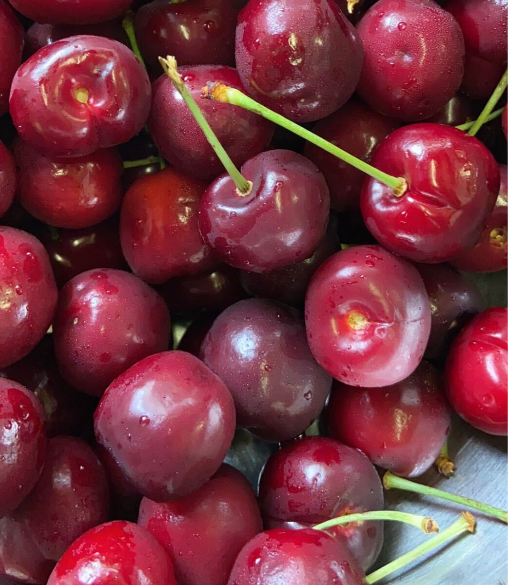 【未使用】超大粒！9.5r アメリカンチェリー箱こみ1kg 父の日 中元 家庭用 数量限定 ポスト投函 車厘子 美國櫻桃 さくらんぼの落札情報詳細 - Yahoo!オークション落札価格検索 ...
