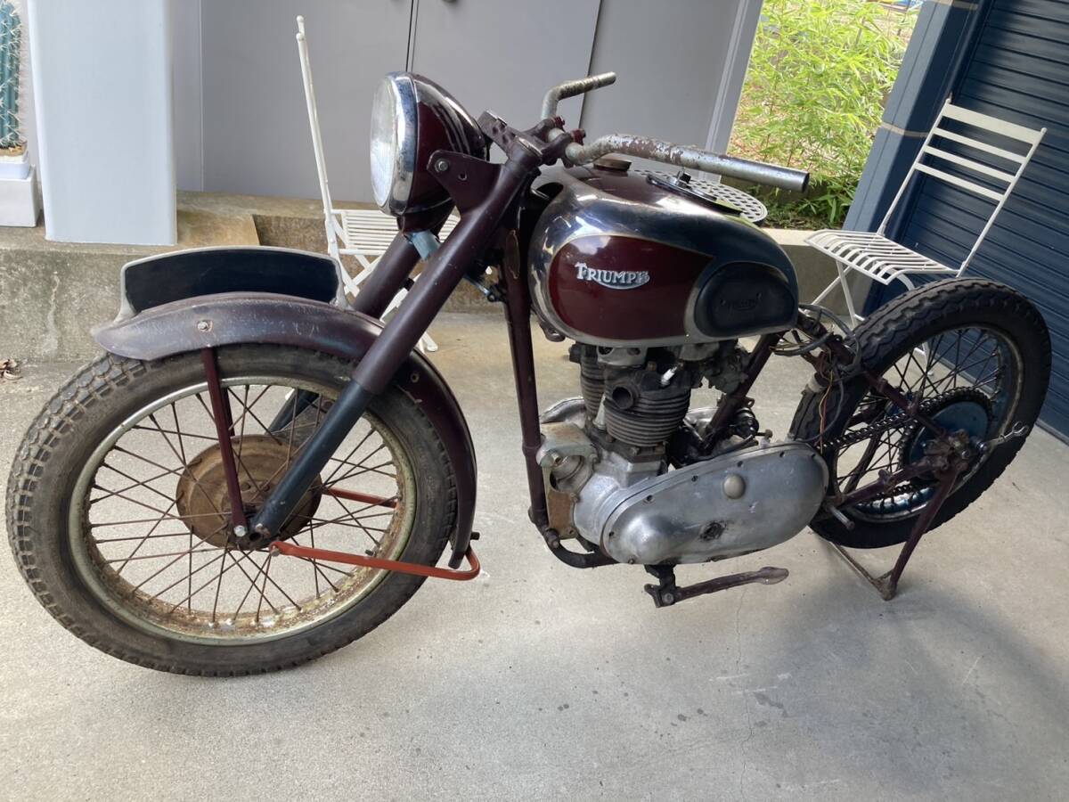 【目立った傷や汚れなし】★送料無料★Triumph TIGER トライアンフ タイガー カッティング ステッカー ペア セット 75mm x 25mmの落札情報詳細 - Yahoo ...