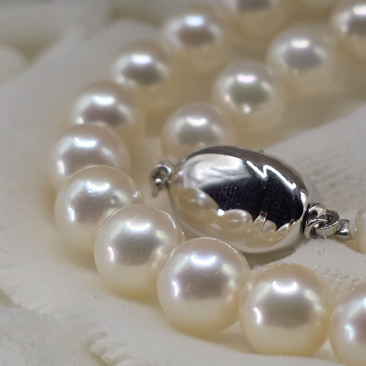 【目立った傷や汚れなし】アコヤ真珠 8mm あこや パール Silver テリ良 ネックレス pearlの落札情報詳細 - Yahoo ...