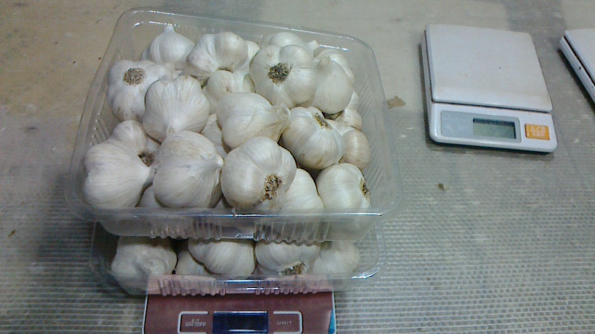 【新品】青森県産 にんにく(福地系)2S 3900円2.8kg 送料無料 4~5cm未満 無農薬無化学肥料 いわもと有機農場 20grxb gr2S2.839の落札情報詳細 - Yahoo ...